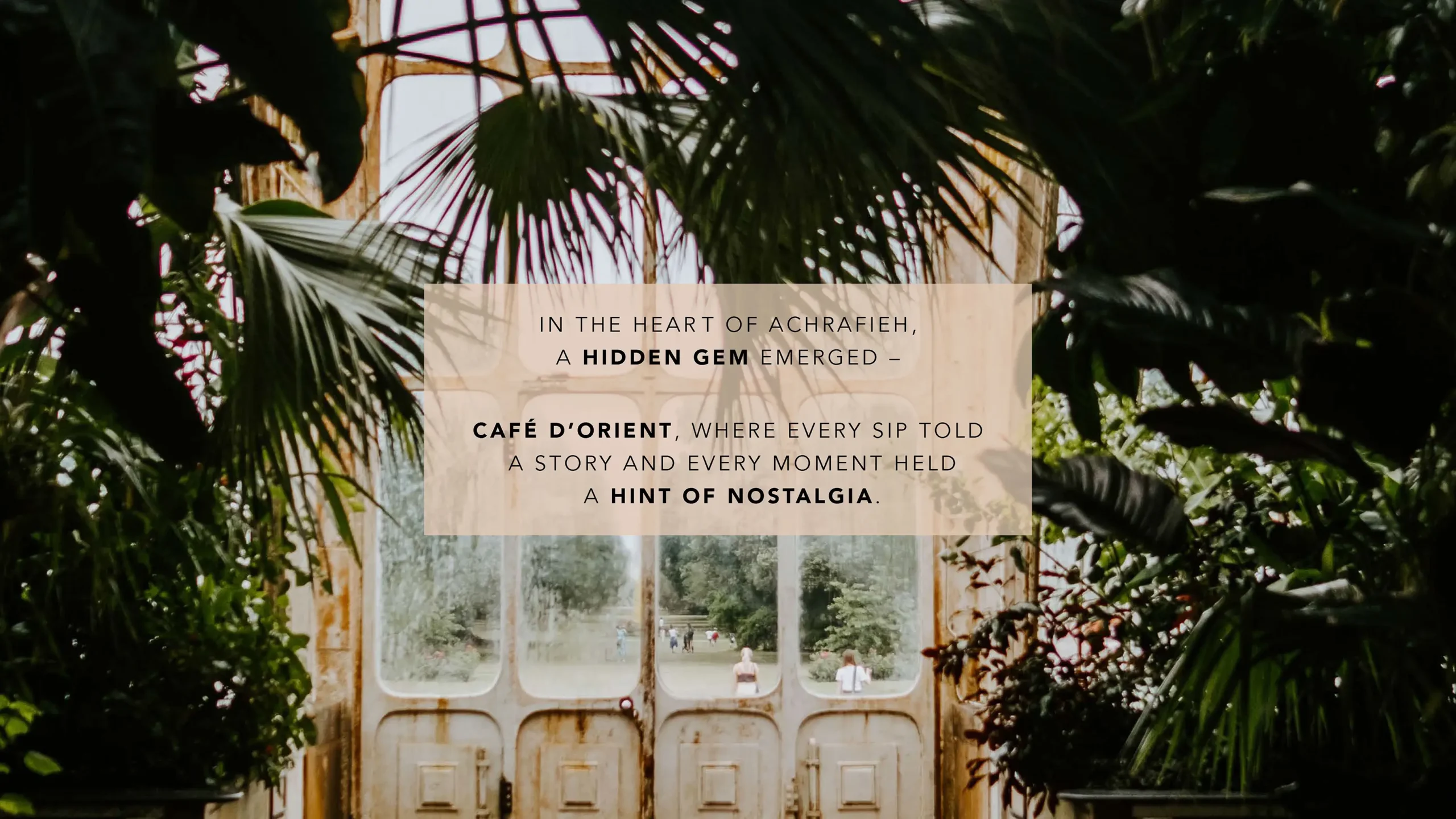 Cafe D’orient – not just a new cafe
